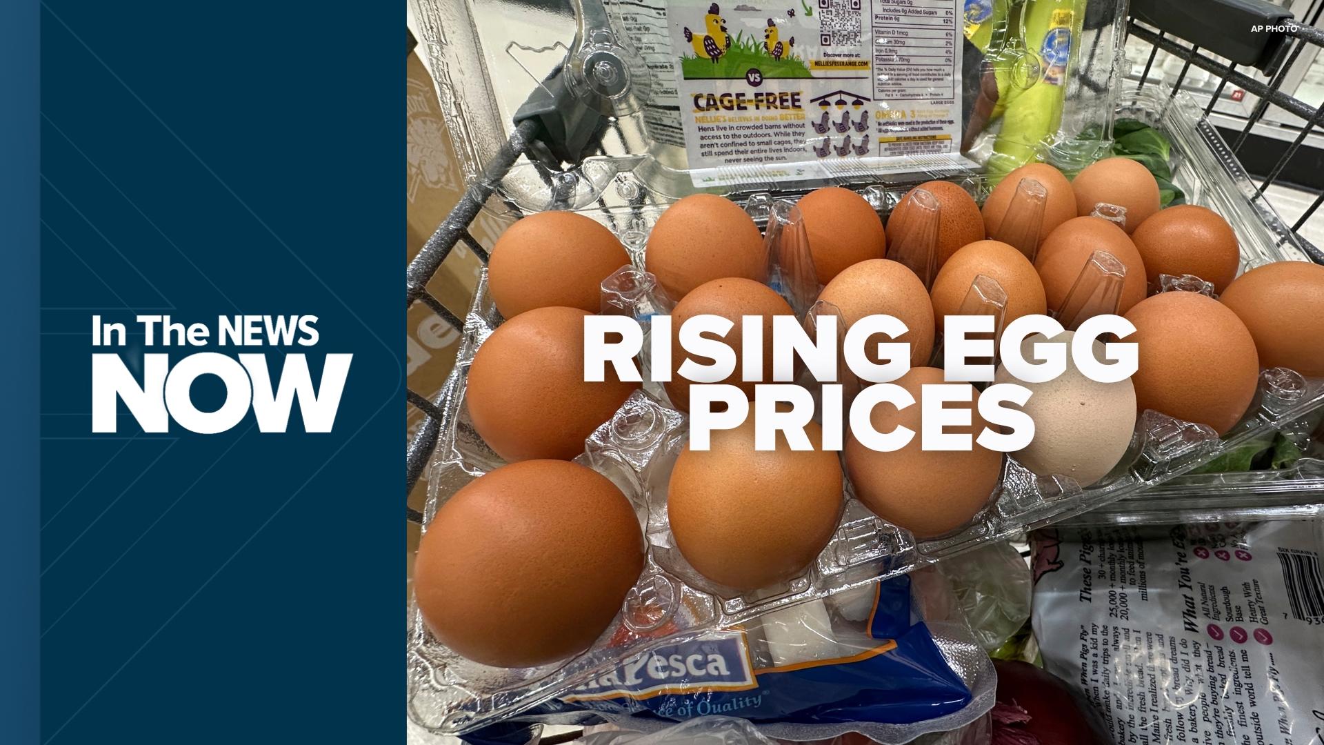 Egg prices are piquing interest in backyard chickens. Here's what to ...