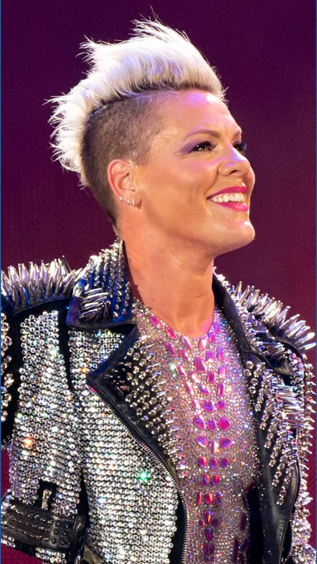 Singer Pink spends New Year's Eve in hospital | wfmynews2.com