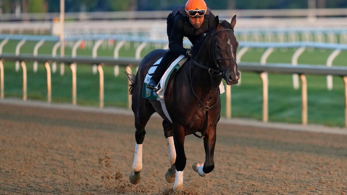 Pat Harrigan wins North Carolina's 10th Congressional District ...
