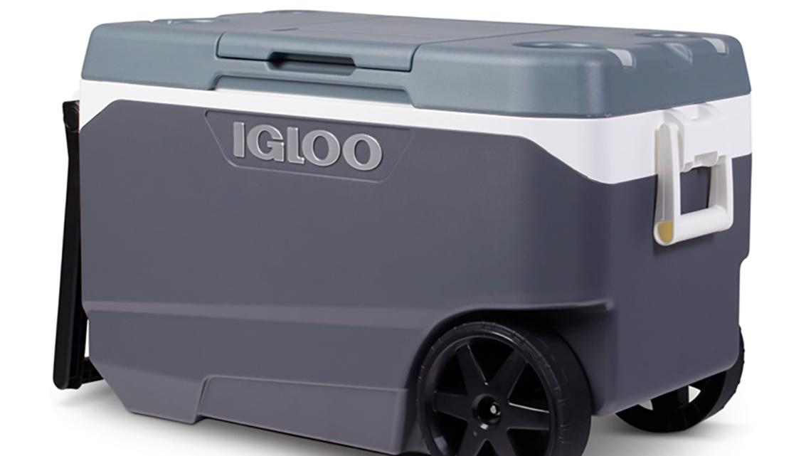 Igloo cooler recall: What to know | wfmynews2.com
