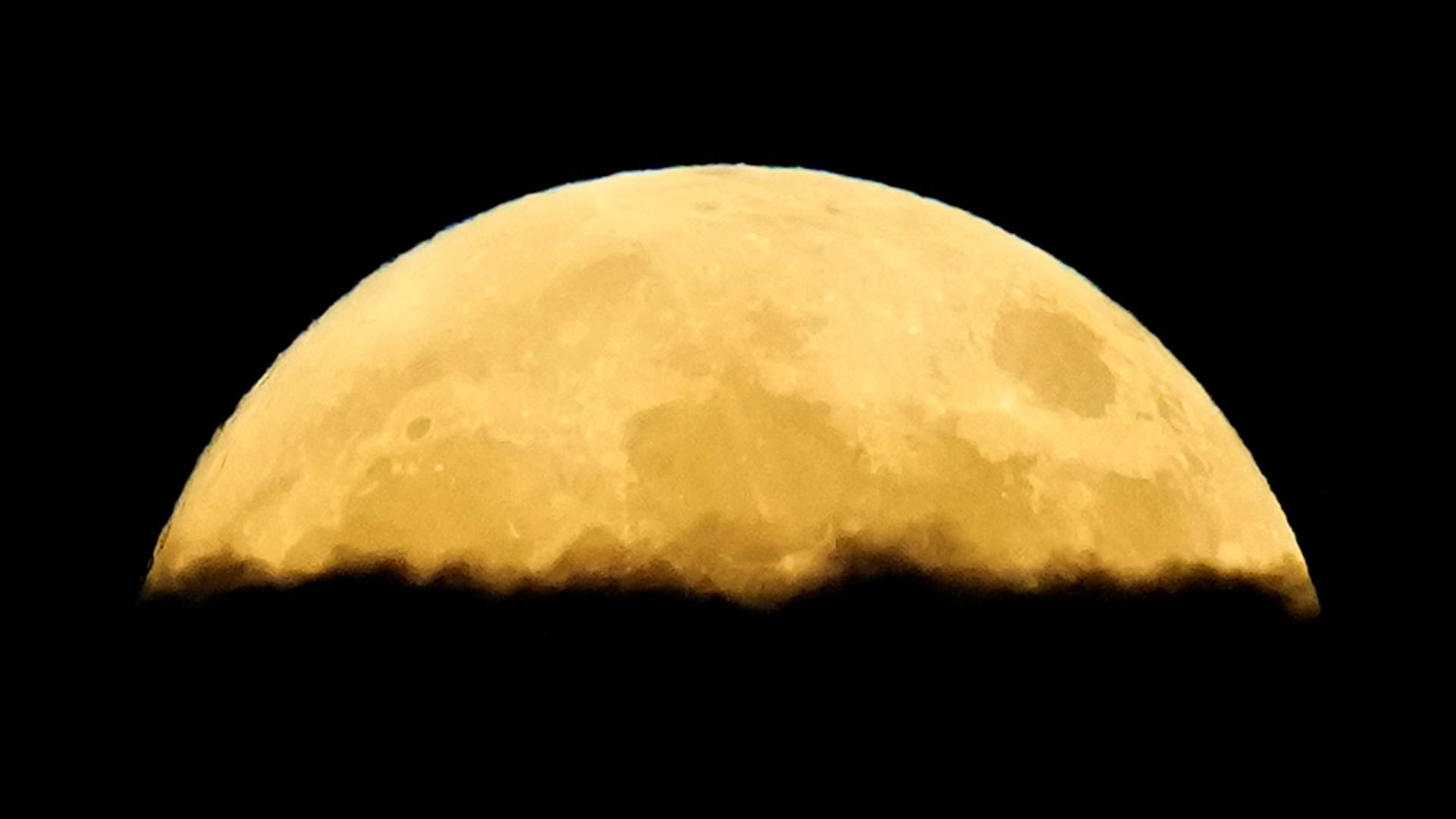 Country Singer Skeeter Davis Dies At Age 72 | wfmynews2.com