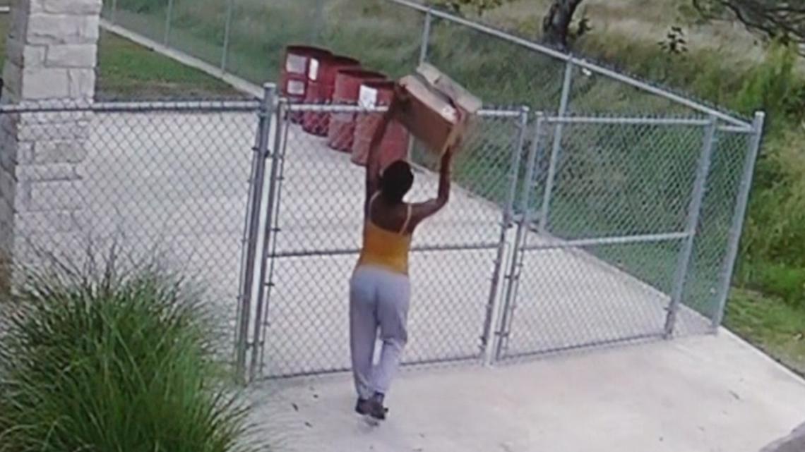 Cat on the mend after being sealed inside box in Texas | wfmynews2.com