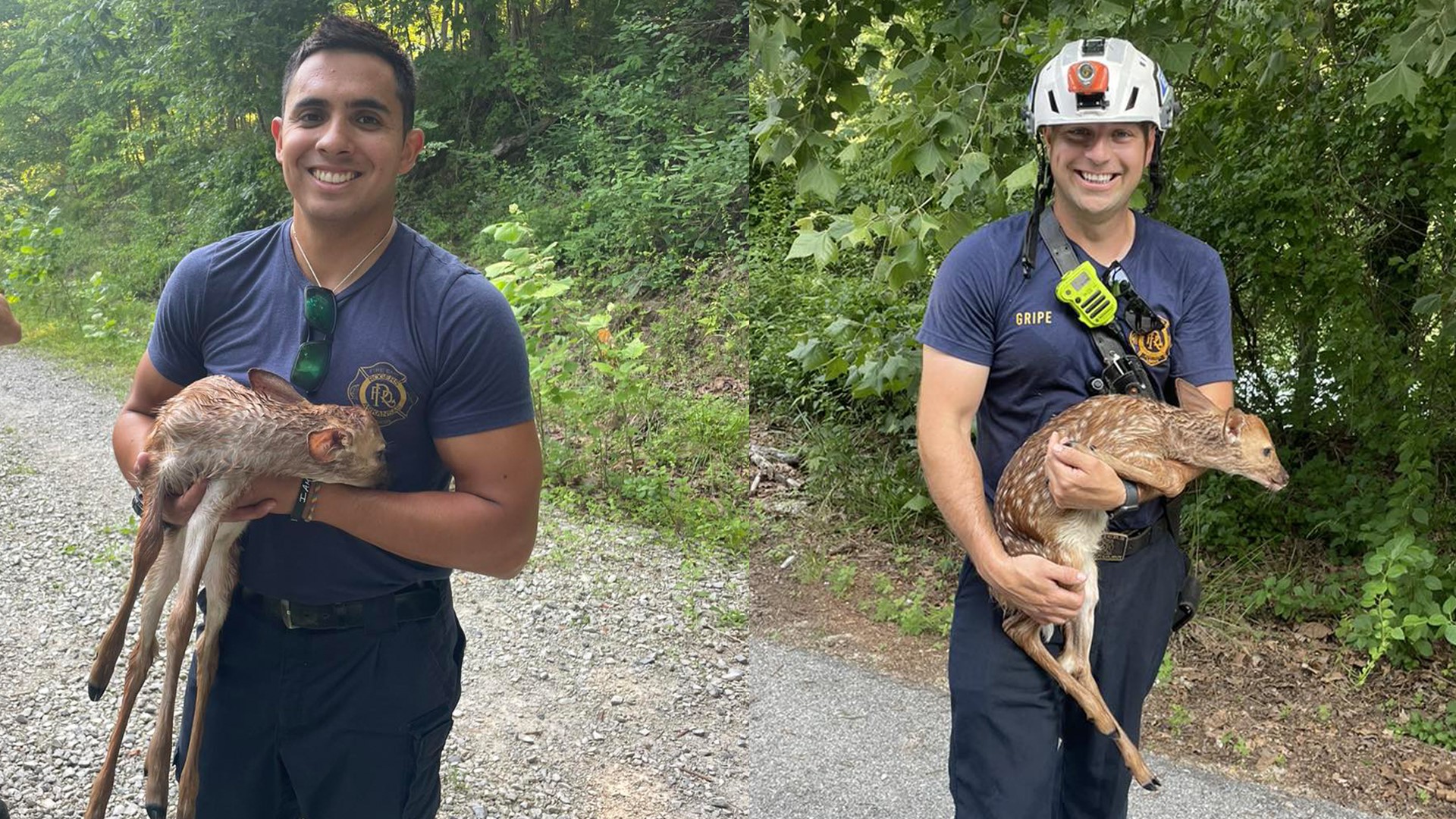 Rogers Fire Department rescues baby deer near Lake Atalanta | wfmynews2.com