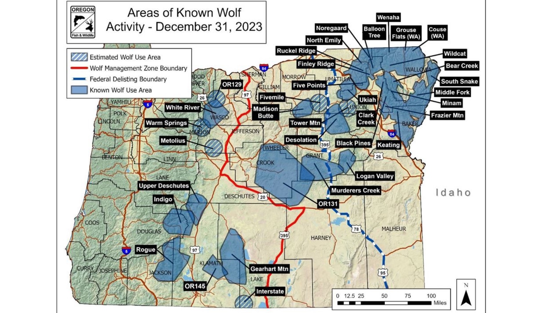 Oregon wolf population unchanged in 2023, report finds | wfmynews2.com
