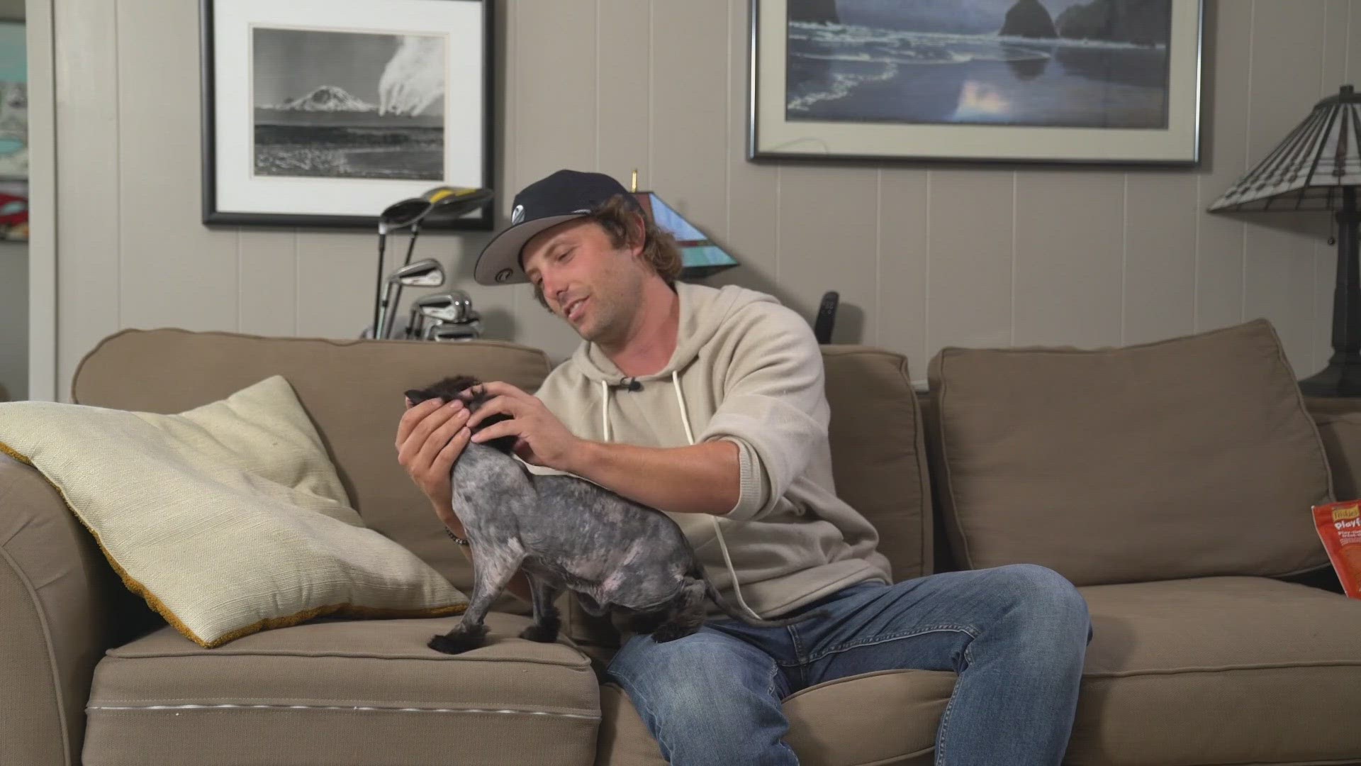 Seattle owner reunites with missing cat after 8 years | wfmynews2.com