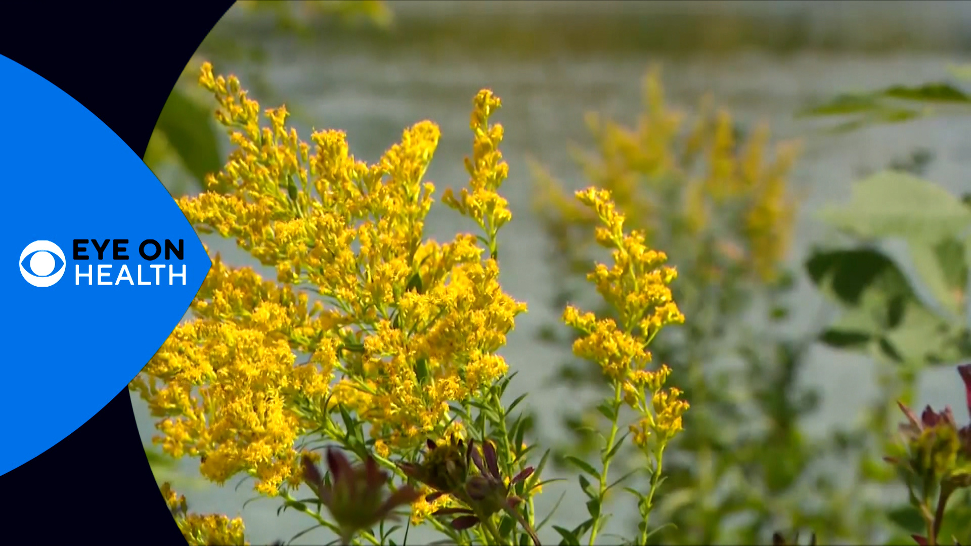 NC State names alumnus Kevin Howell as next chancellor | wfmynews2.com