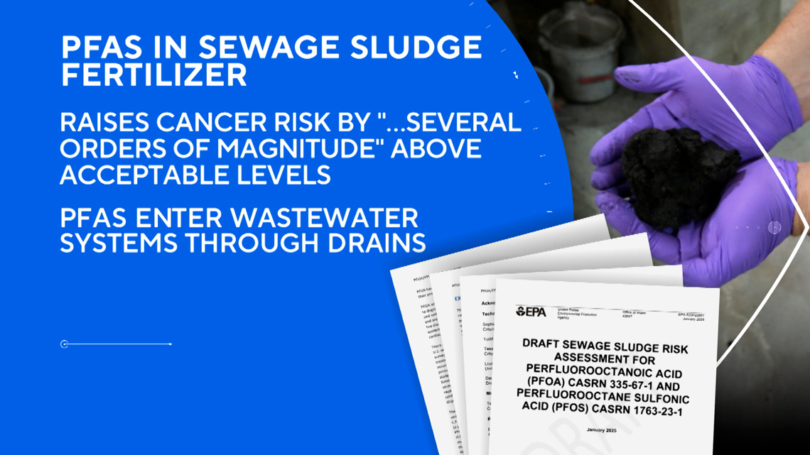 Cancer deaths decline & PFAs in sewage sludge | Eye on Health ...