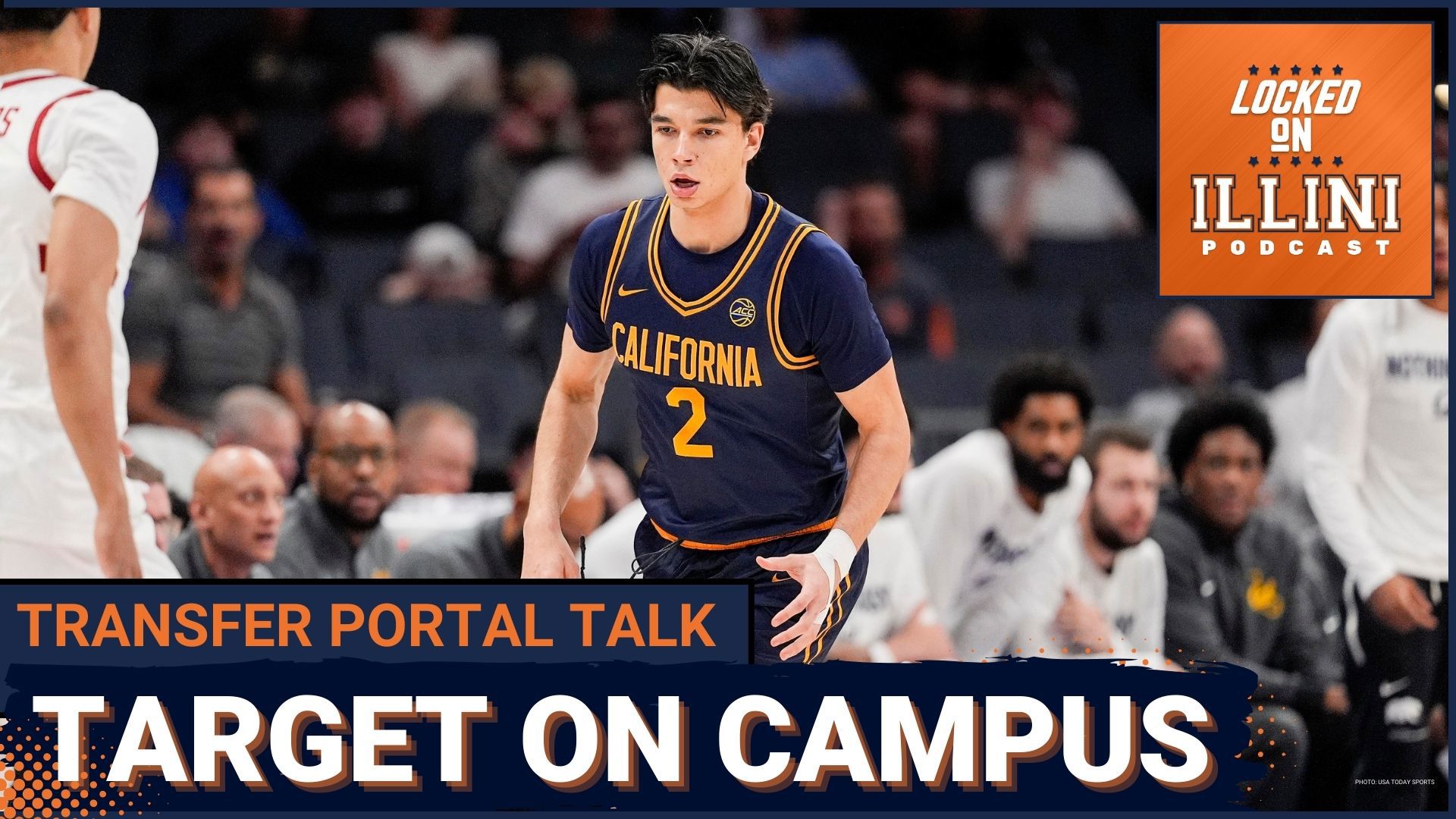 BIG TARGET: Andrej Stojakovic on Illini Campus, Can Brad Underwood ...