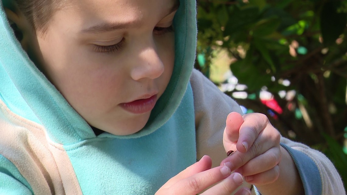 Mooresville preschool releases thousands of ladybugs on Earth Day ...
