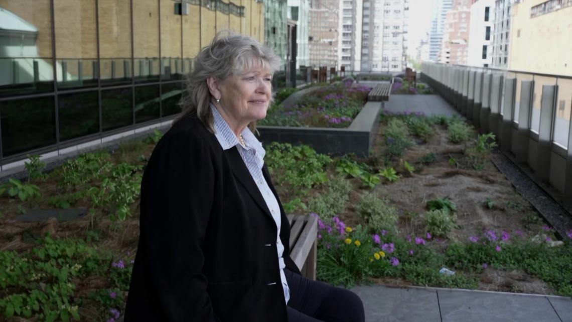 Myrtle Beach police shooting: Greensboro man, Browns Summit teen charged | wfmynews2.com