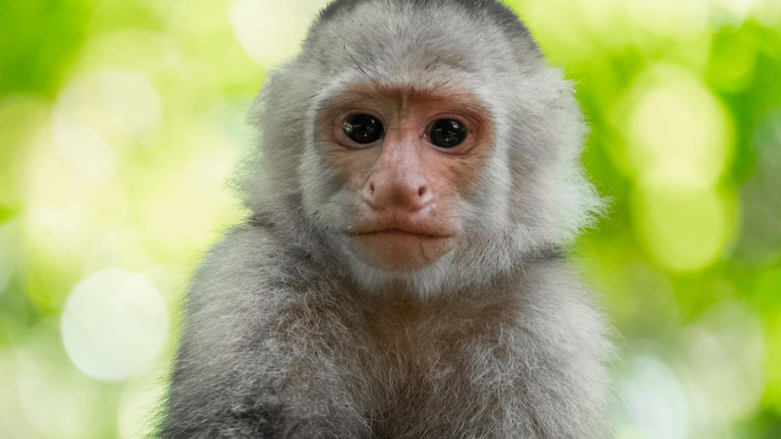 VERIFY: Is It Dangerous To Smell Sharpies? | wfmynews2.com