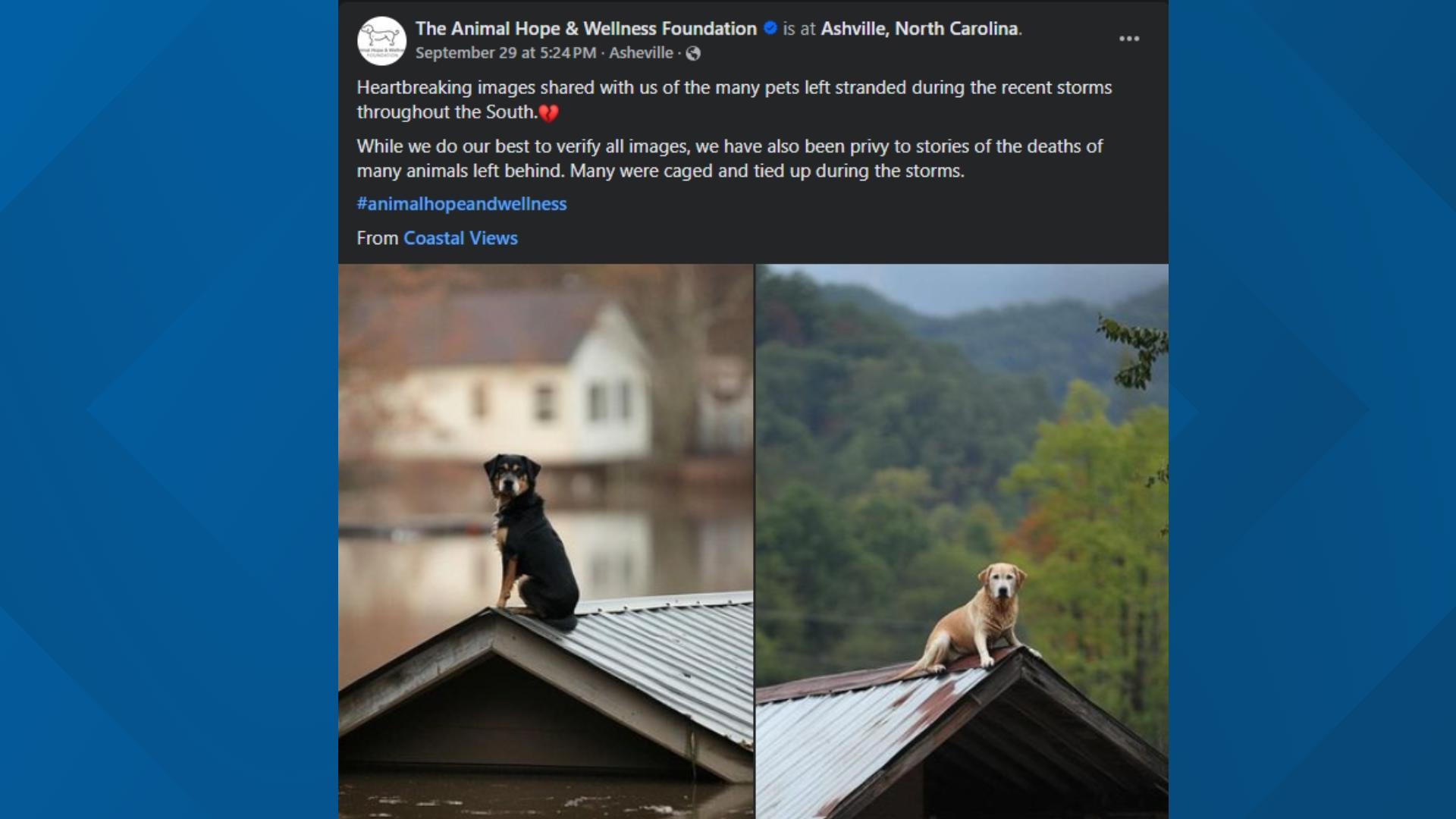 How to spot AI-generated Hurricane Helene photos | wfmynews2.com