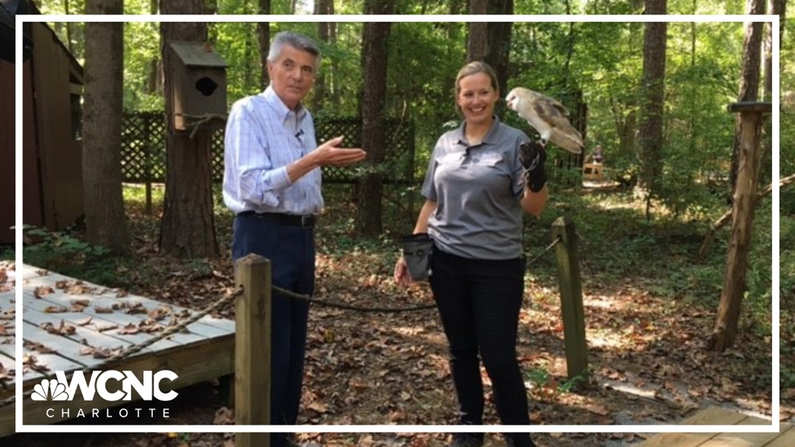 Going behind-the-scenes at the Carolina Raptor Center | wfmynews2.com