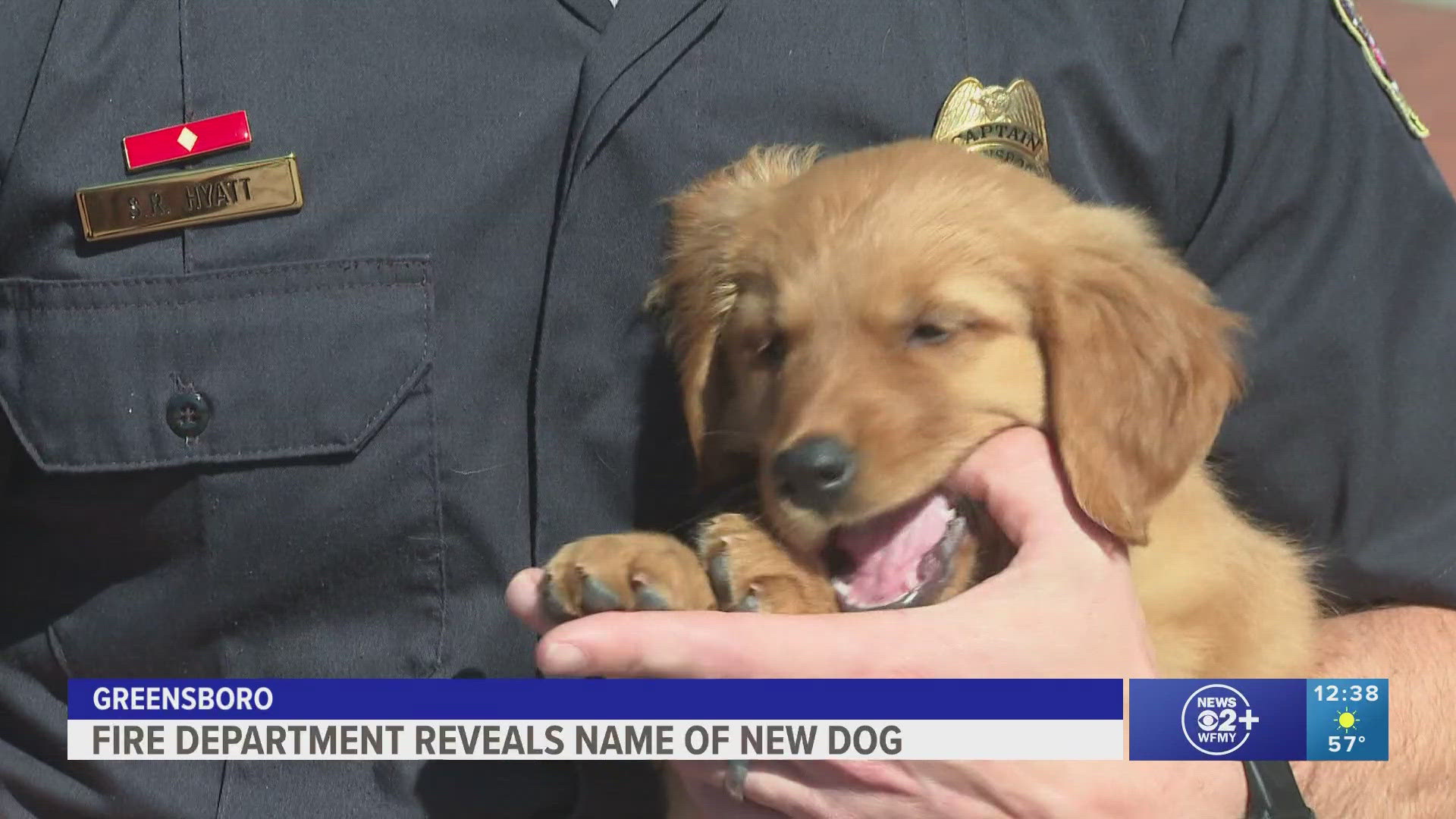 Man in Carolinas accused of abandoning 50+ snakes after getting fired ...