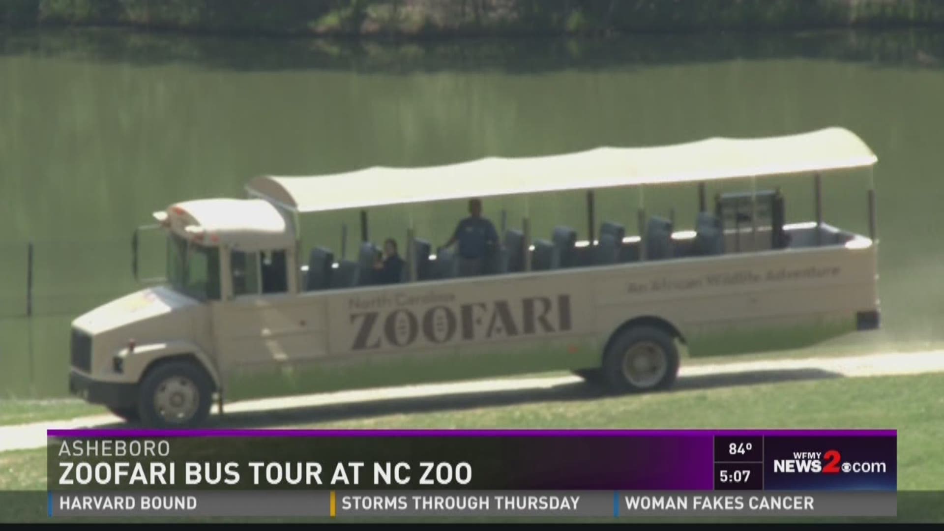 Ride Through The Wild: 'Zoofari' At North Carolina Zoo | wfmynews2.com