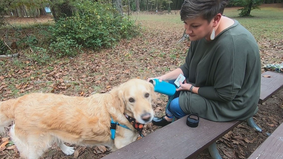Talking with animals: how to understand your pet's needs | wfmynews2.com