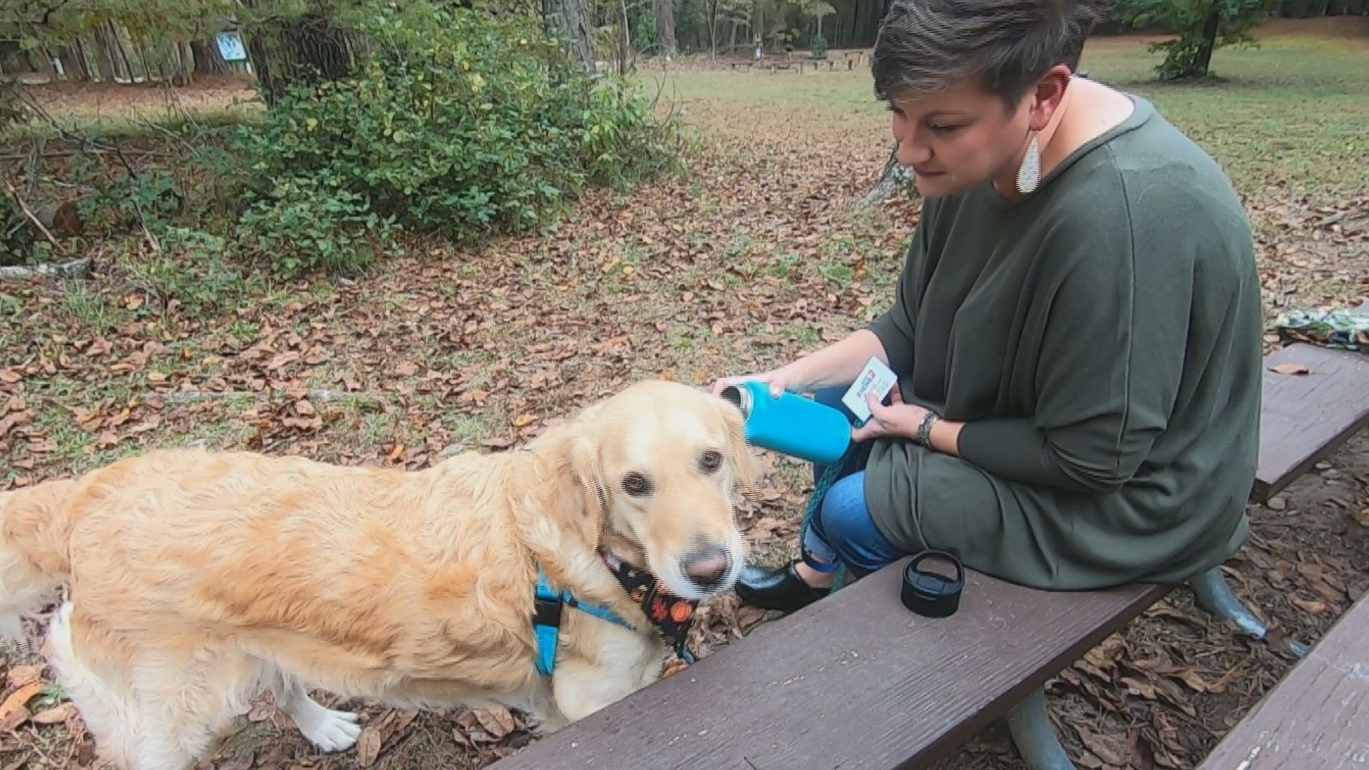 Talking with animals: how to understand your pet's needs | wfmynews2.com
