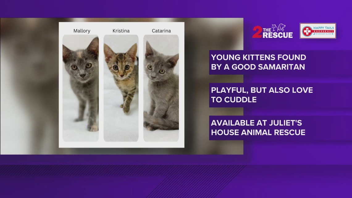 2 The Rescue: Meet Mallory, Kristina, and Catarina | wfmynews2.com