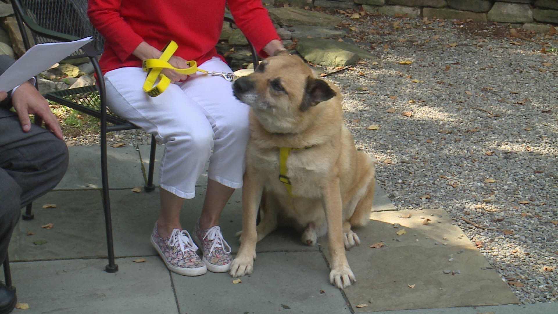 2 The Rescue: Meet Luke | wfmynews2.com