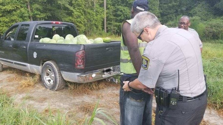 Man nabbed for stealing watermelons after truck gets stuck | wfmynews2.com