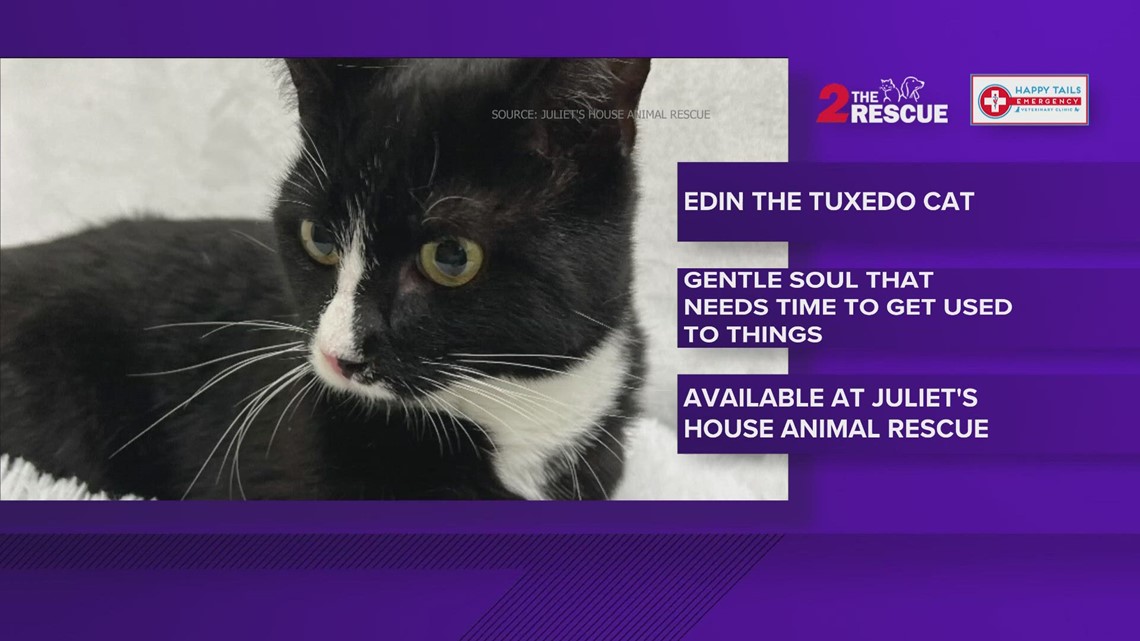 2 The Rescue: Meet Edin | wfmynews2.com