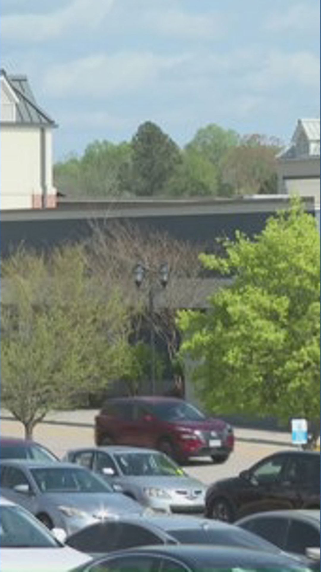 Mebane police investigating car break-ins at Tanger Outlets | wfmynews2.com