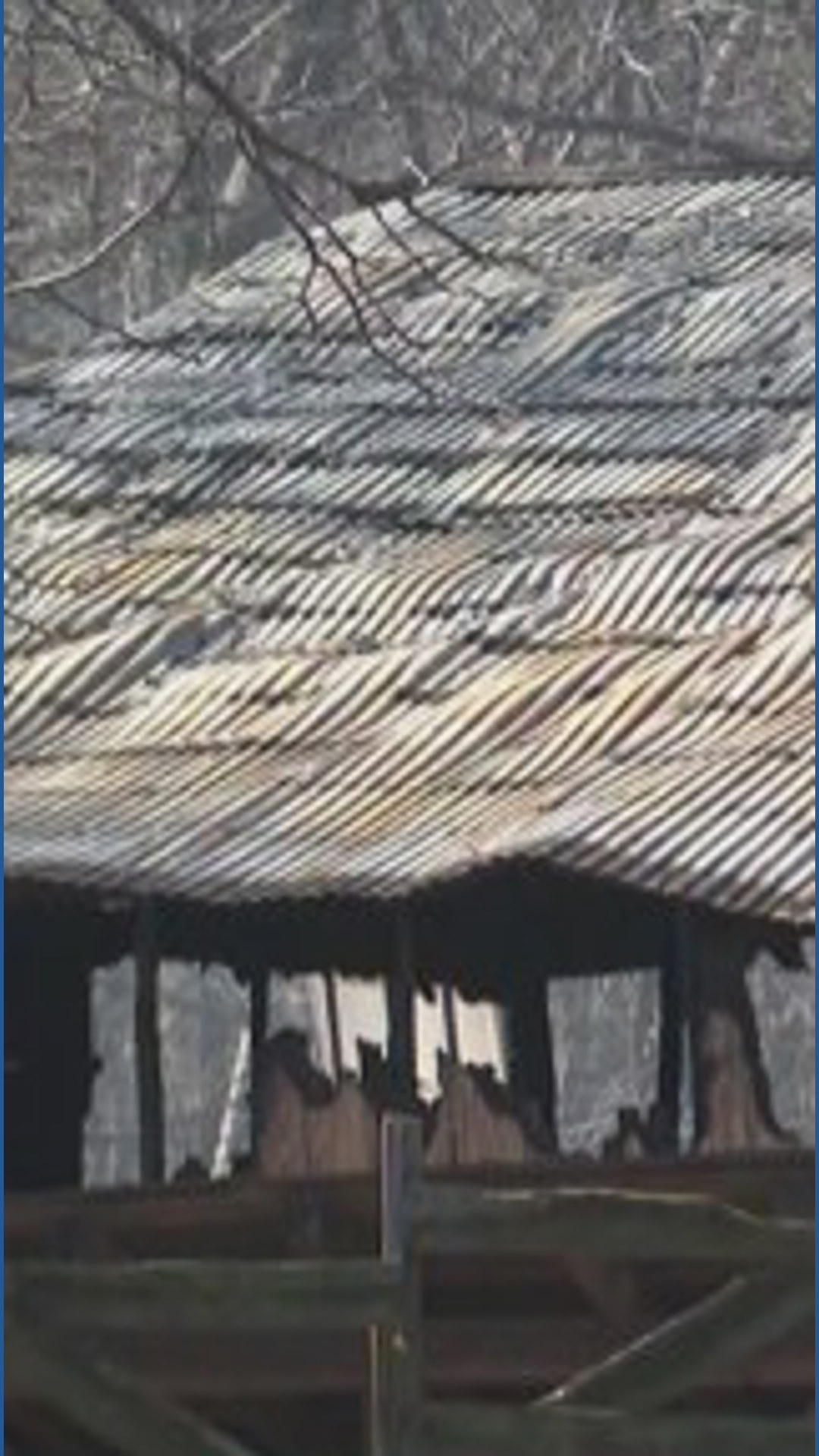 Callicutt Stables releases statement after barn fire kills over 30 ...