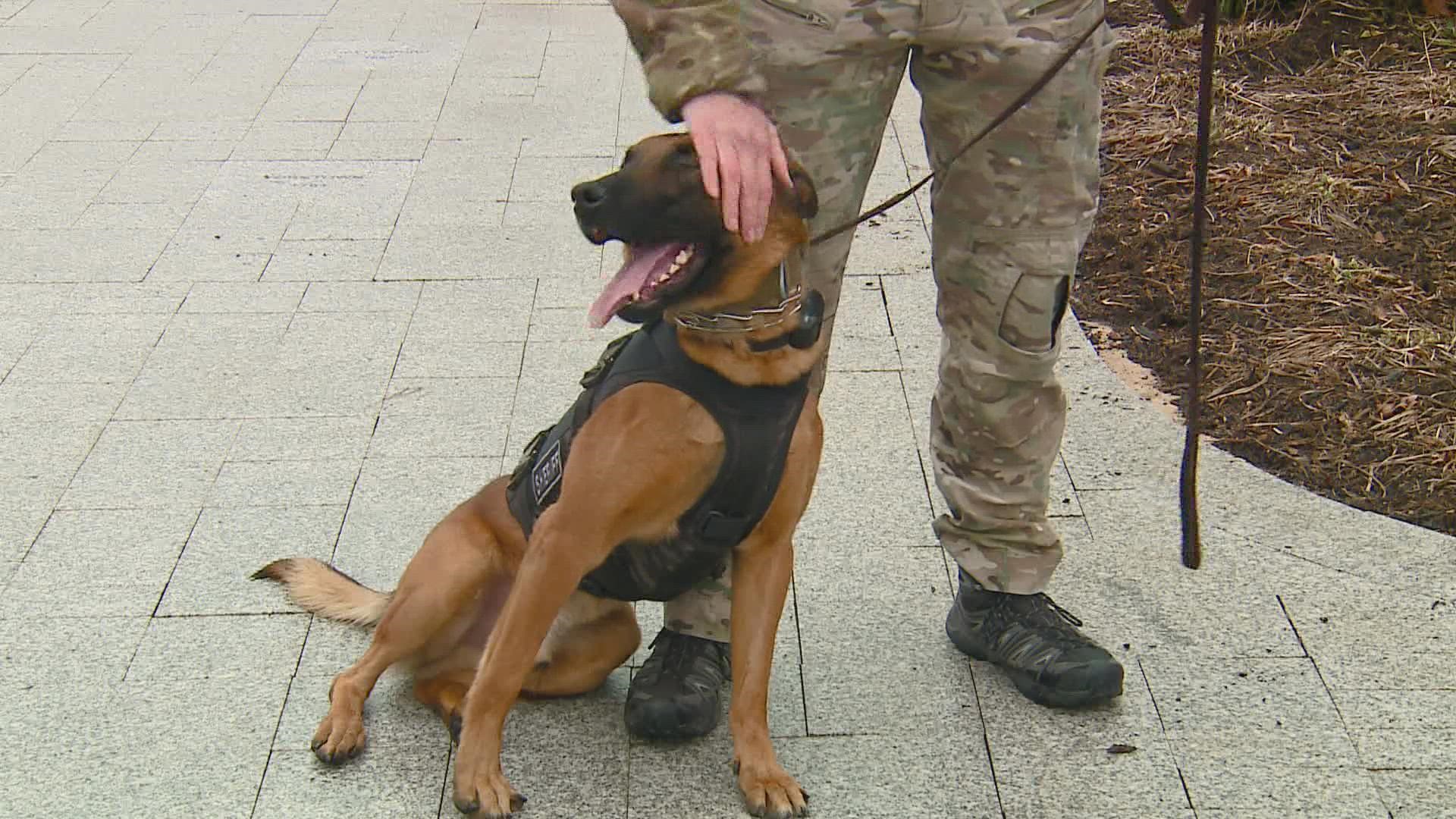 Guilford County Sheriff’s Office gifted two K9 ballistic vests ...