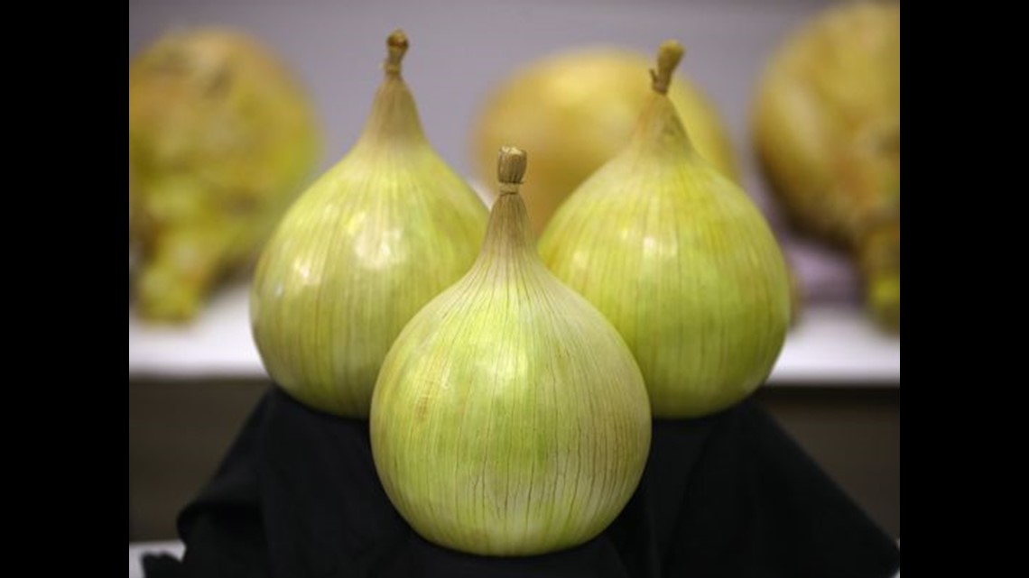 VERIFY: Can An Onion Absorb Bacteria And Prevent The Flu? | wfmynews2.com