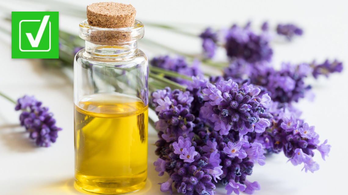 VERIFY: Don't want chemicals? Try lavender to repel mosquitoes ...