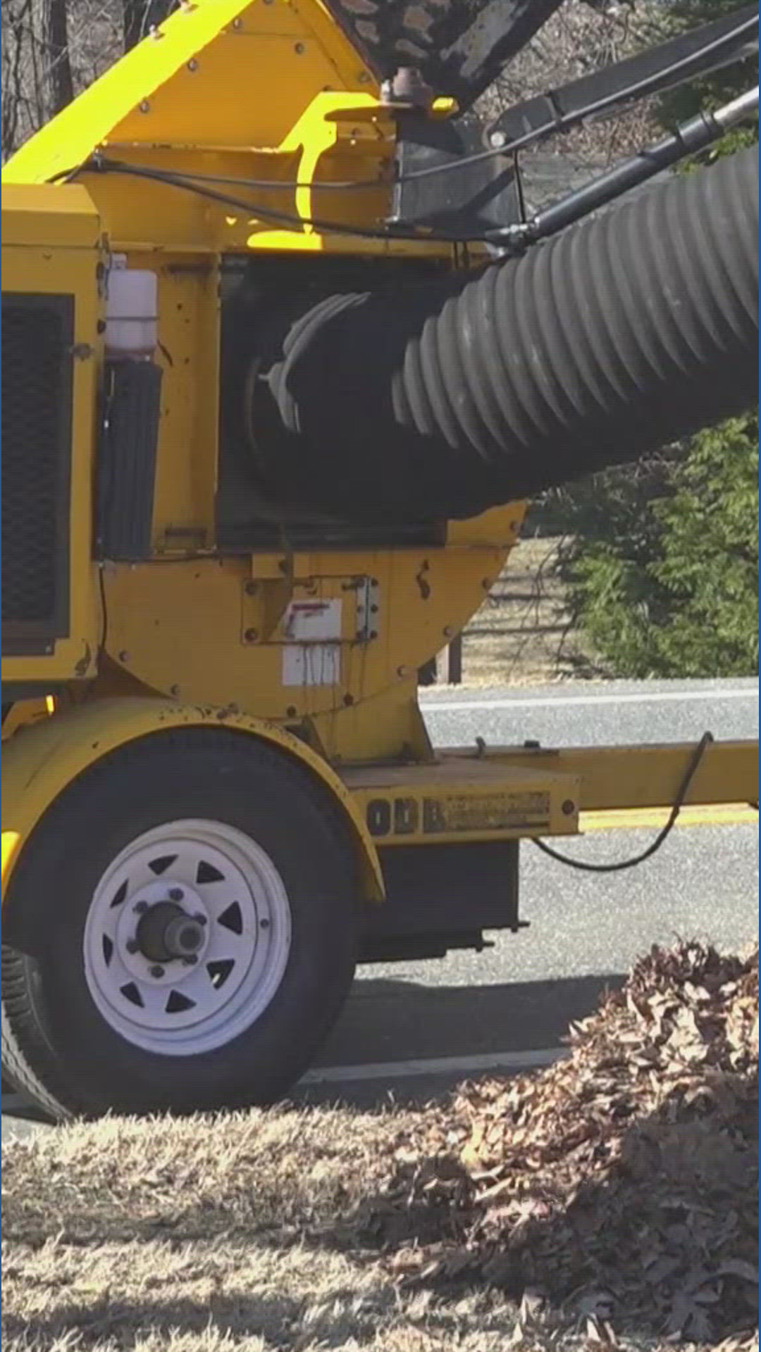Leaf piles persist as Greensboro enforces yard waste disposal rules ...