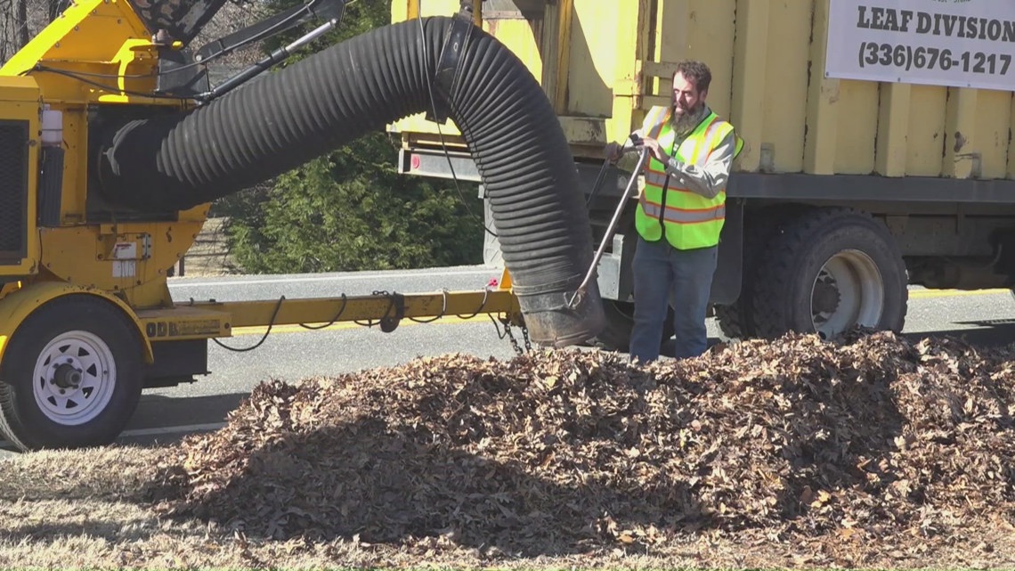 Leaf piles persist as Greensboro enforces yard waste disposal rules ...