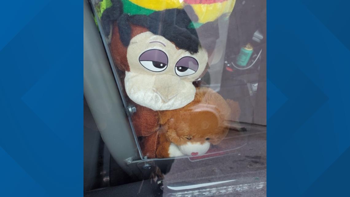 Video of stuff monkey in patrol car gets police chief response ...