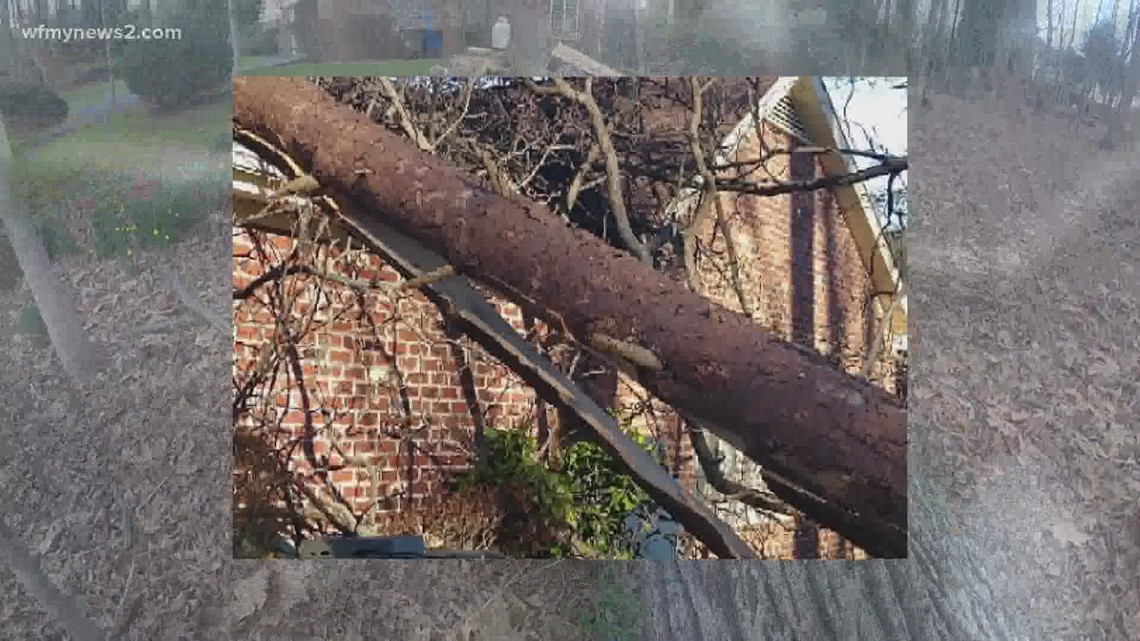Tree hits woman's home, cost of repairs more than $3,800: 2 Wants to ...