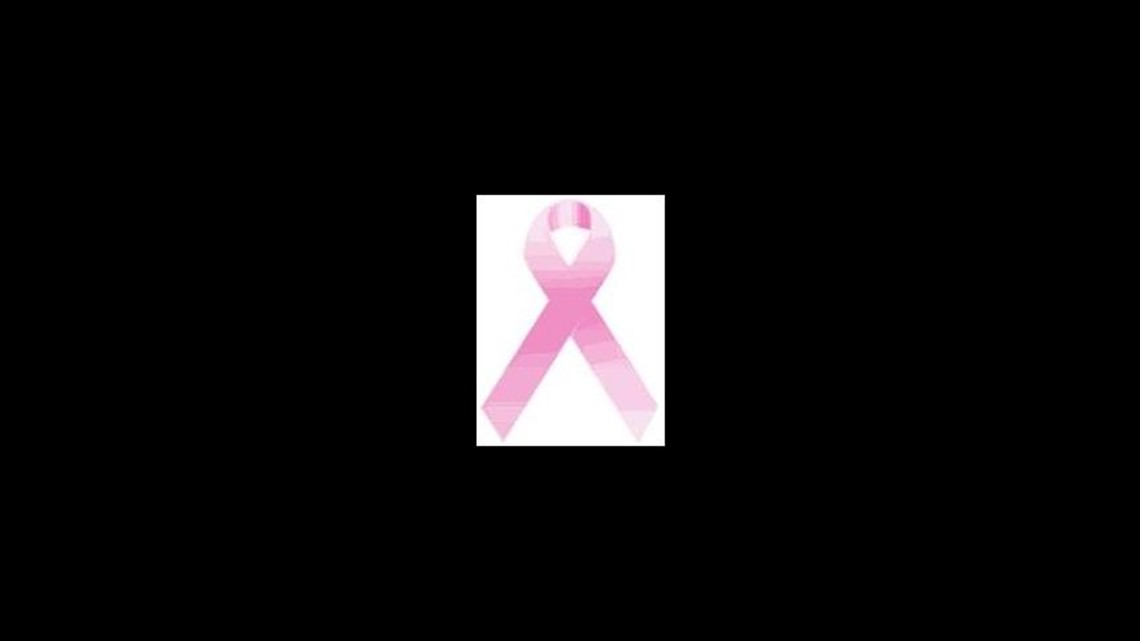Pink Heals: Raising Awareness About Breast Cancer | wfmynews2.com