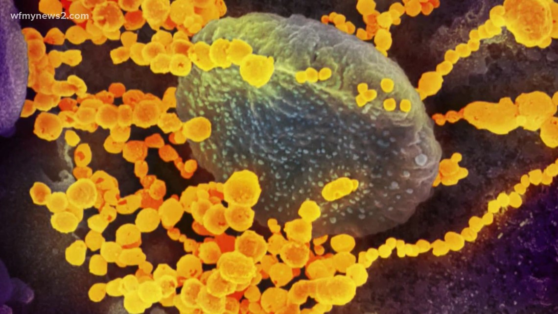 Triad experts explain what we need to know about Delta variant ...