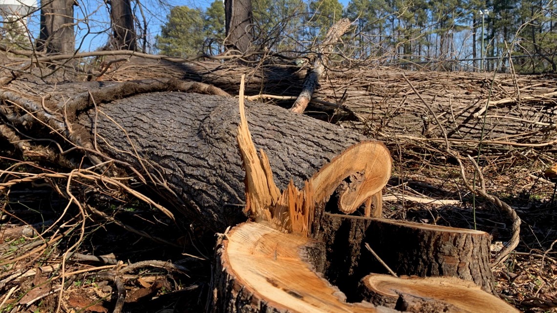 Archdale couple and school at odds over trees | wfmynews2.com