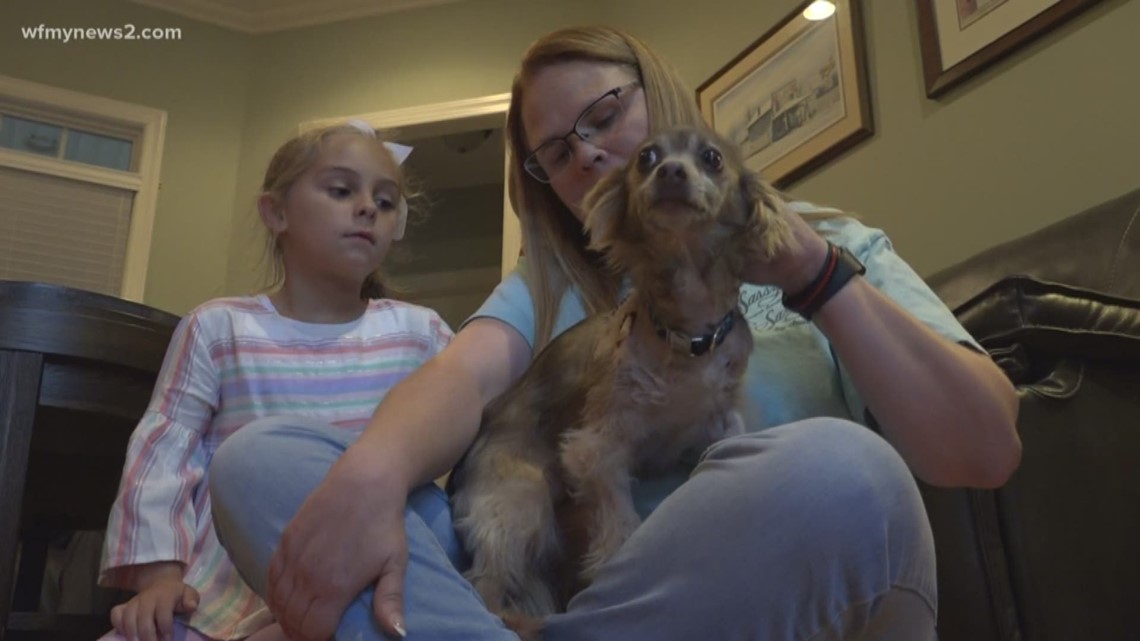Hawk Attacks Dog, Now Greensboro Family Wants To Warn Neighbors ...