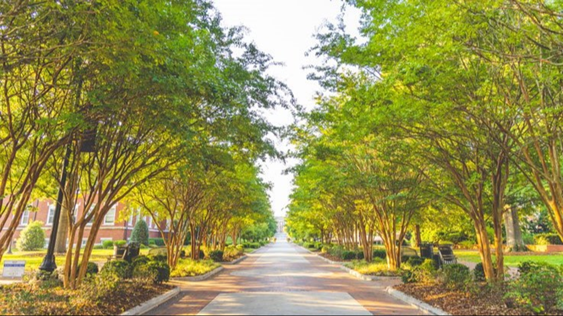 UNCG Earns Tree Campus USA Recognition For 10th Straight Year ...