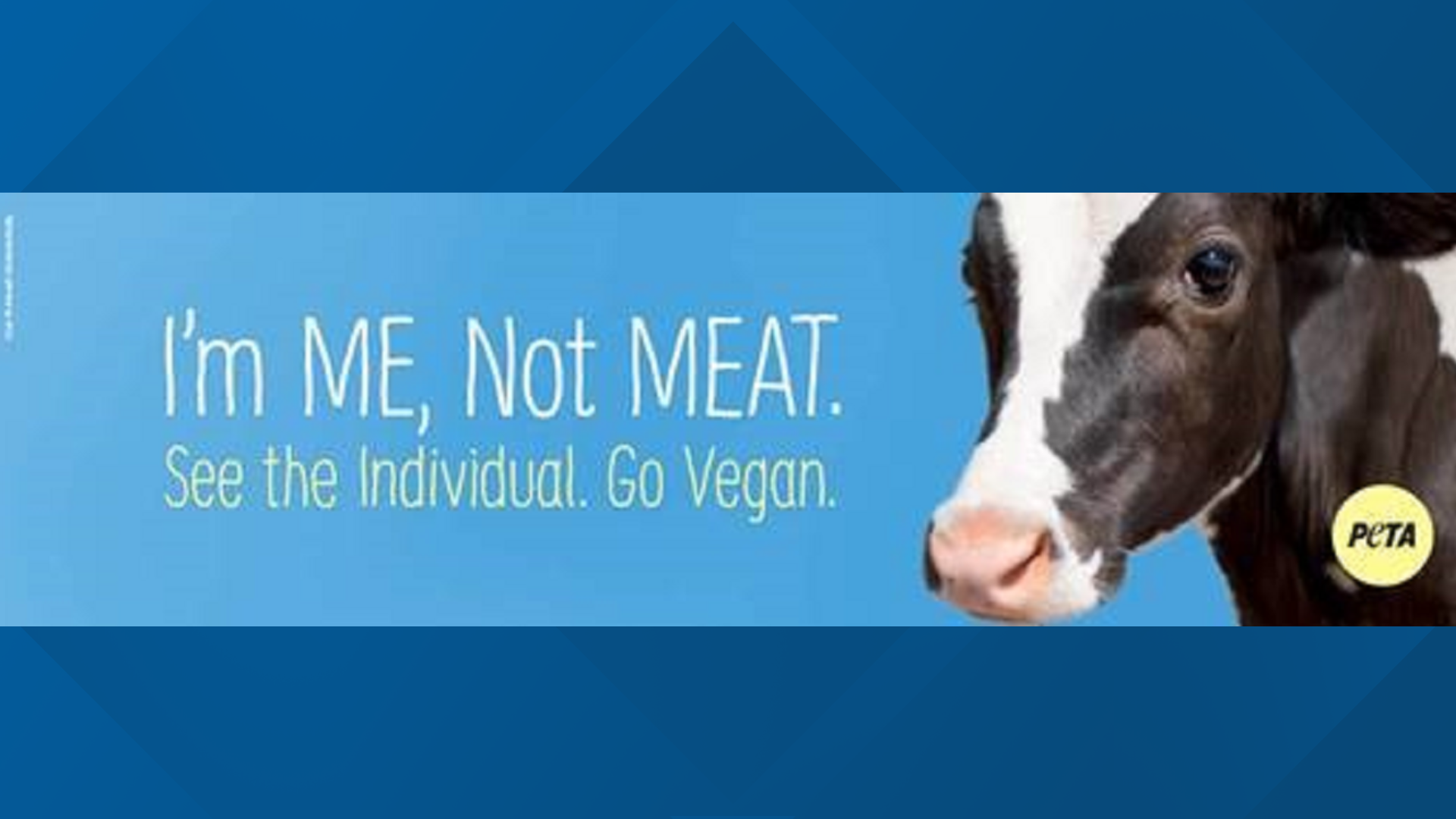 PETA billboard for cows killed in I-40 crash rejected | wfmynews2.com
