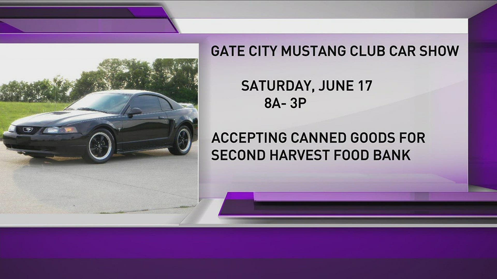 Gate City Mustang Club's 35th Anniversary Show This Weekend | wfmynews2.com