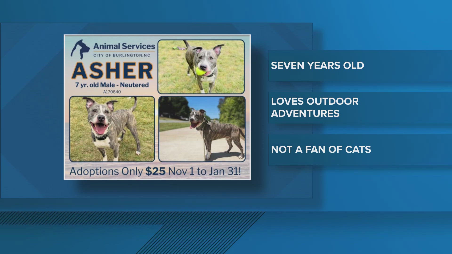 Microsoft's top design app that usually costs $249.99 is now $10 ...