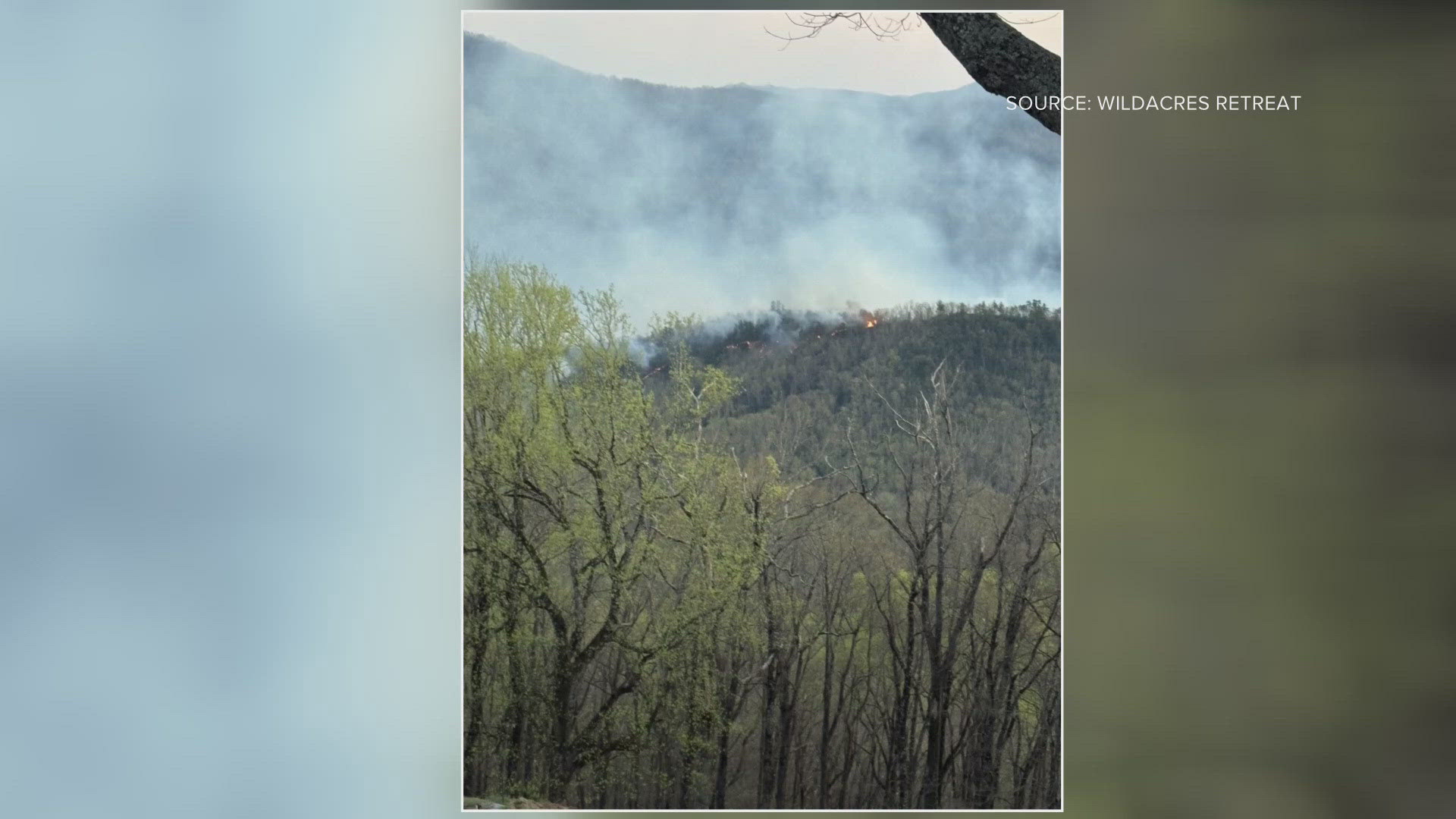 Wildfire in Myrtle Beach causes evacuations from neighborhoods | wfmynews2.com