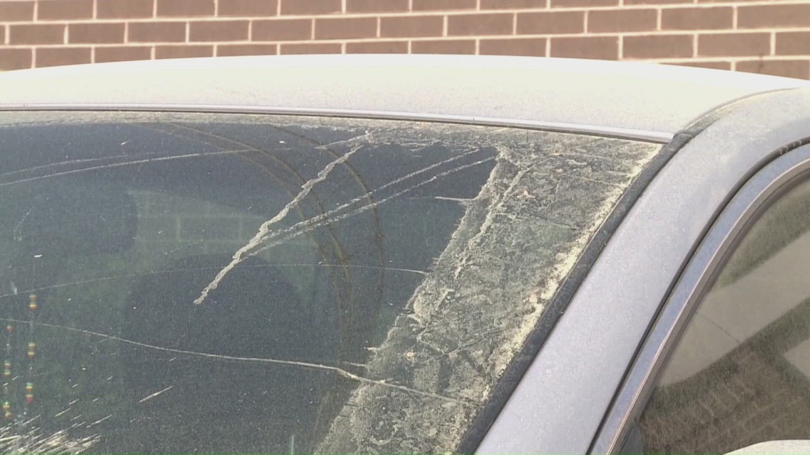 Peak tree pollen coats cars, triggers allergies across the Triad ...