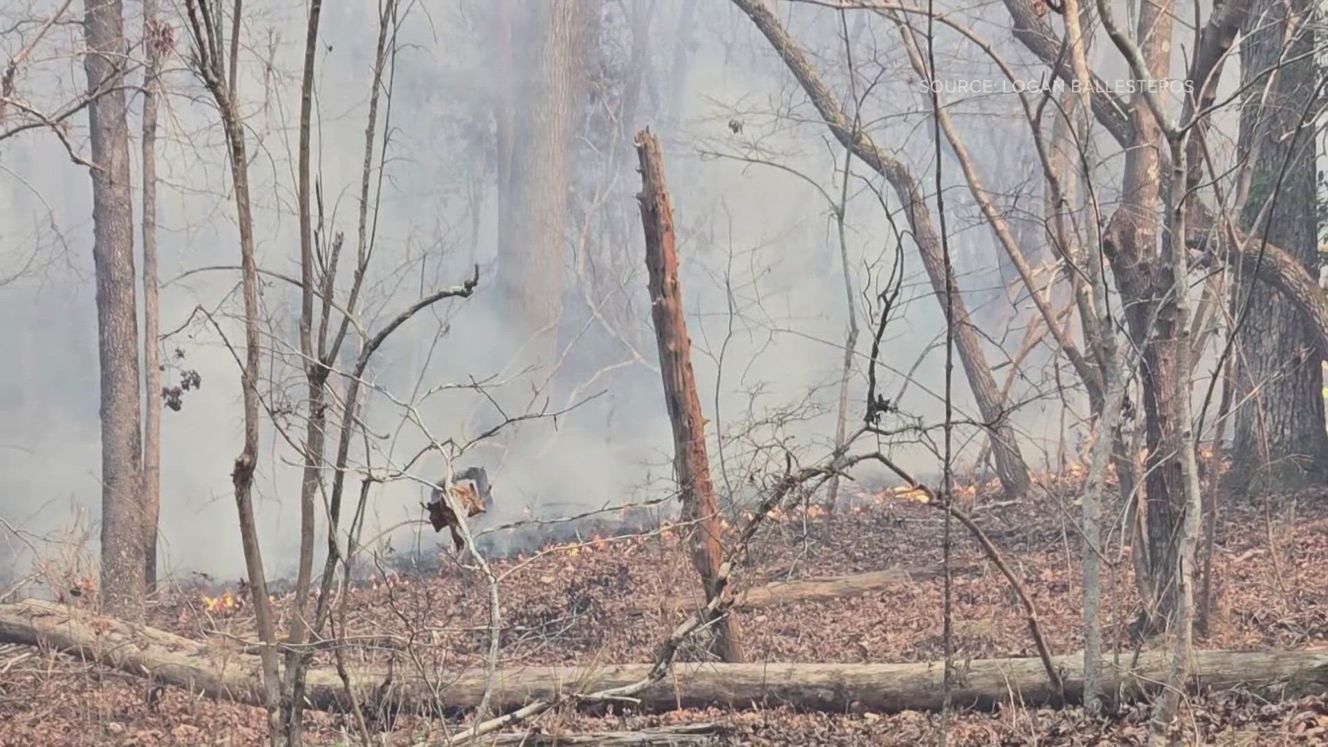 Most wildfires are started by humans, officials react to wildfires in ...