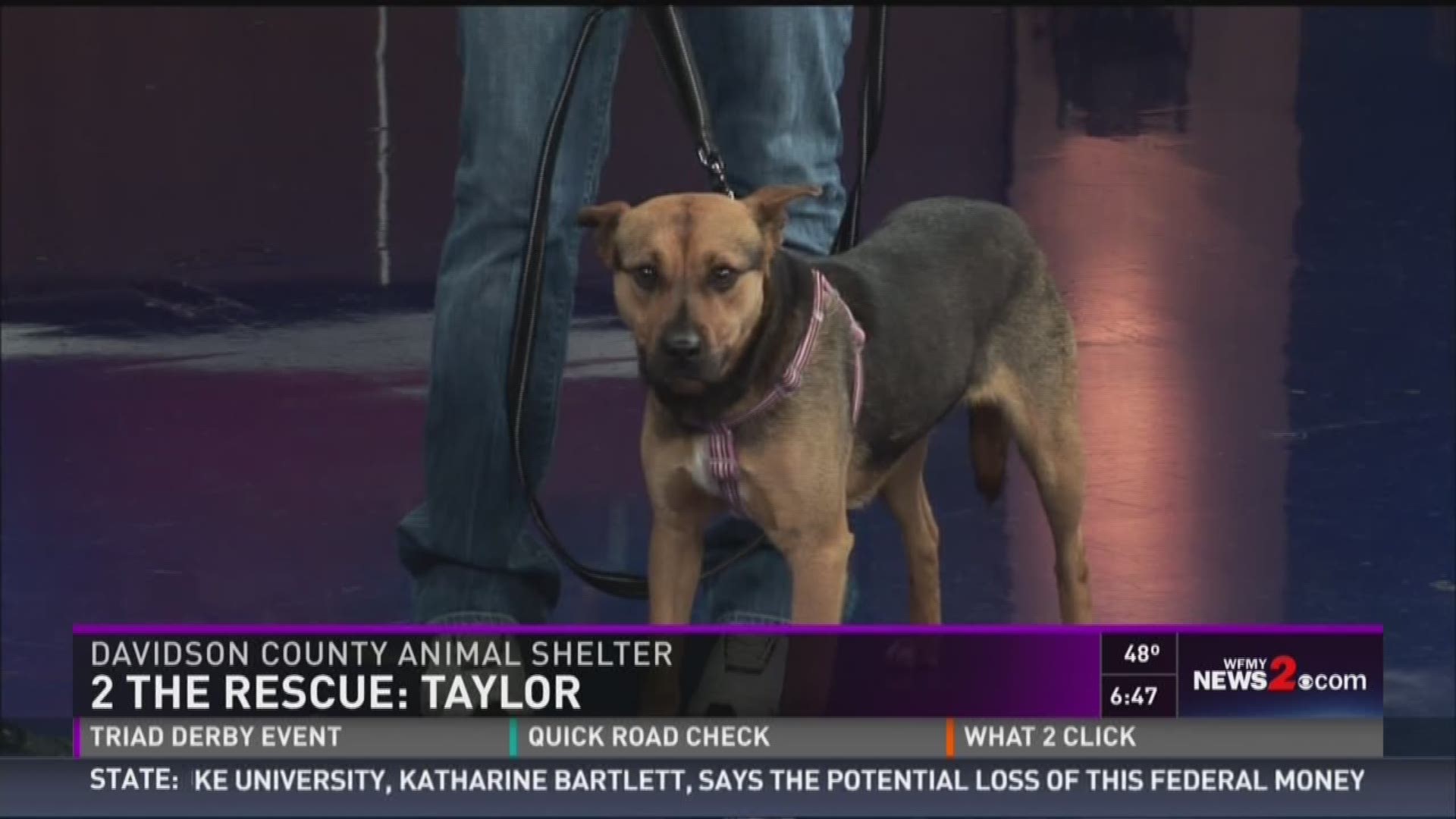 2 the Rescue - Taylor | wfmynews2.com