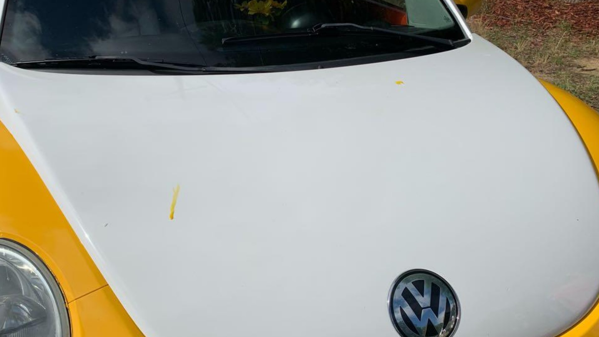Reports on Nextdoor of cars being egged in Greensboro | wfmynews2.com