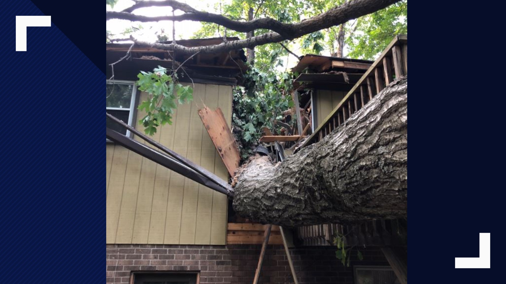 PHOTOS: Tree Crushes House In Winston-Salem | wfmynews2.com