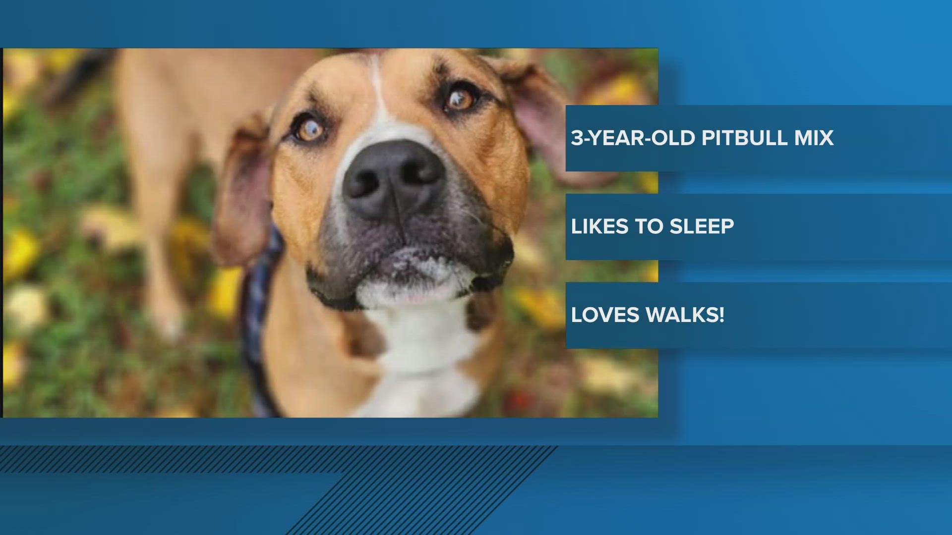 Eric Dane reveals why he wasn't at 2025 Emmy Awards | wfmynews2.com