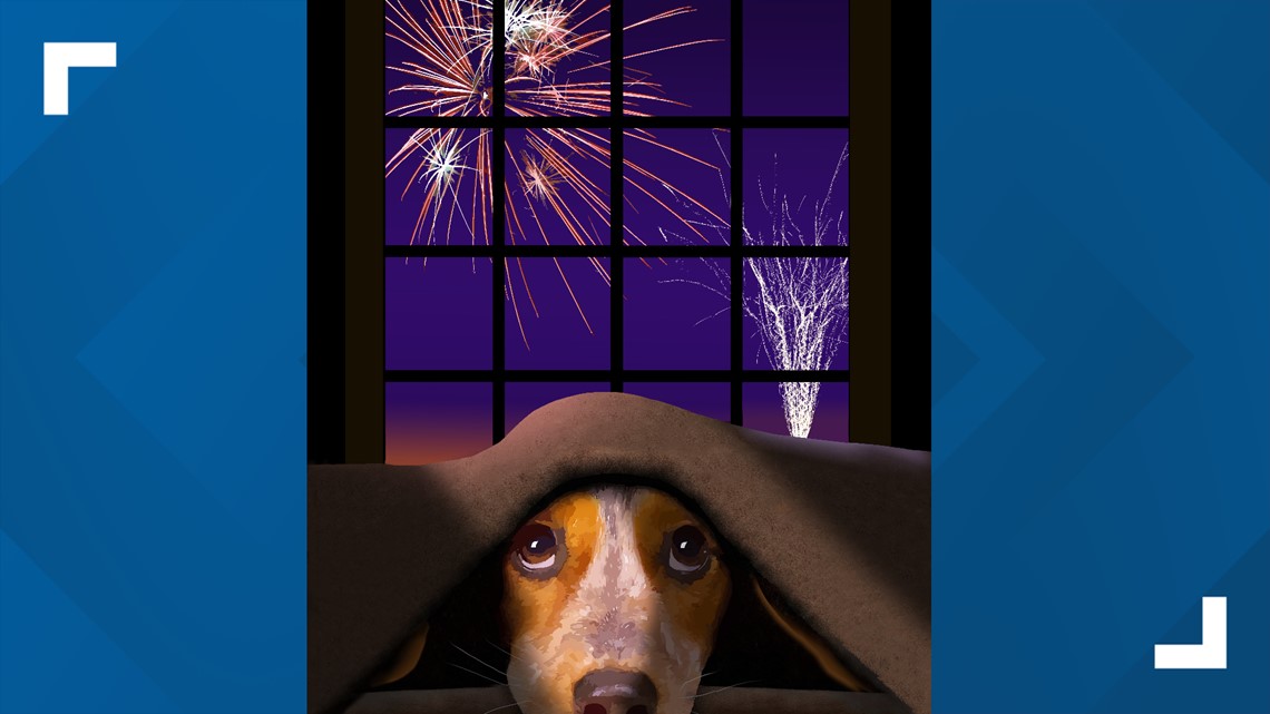 How to calm your dog during the fireworks | wfmynews2.com